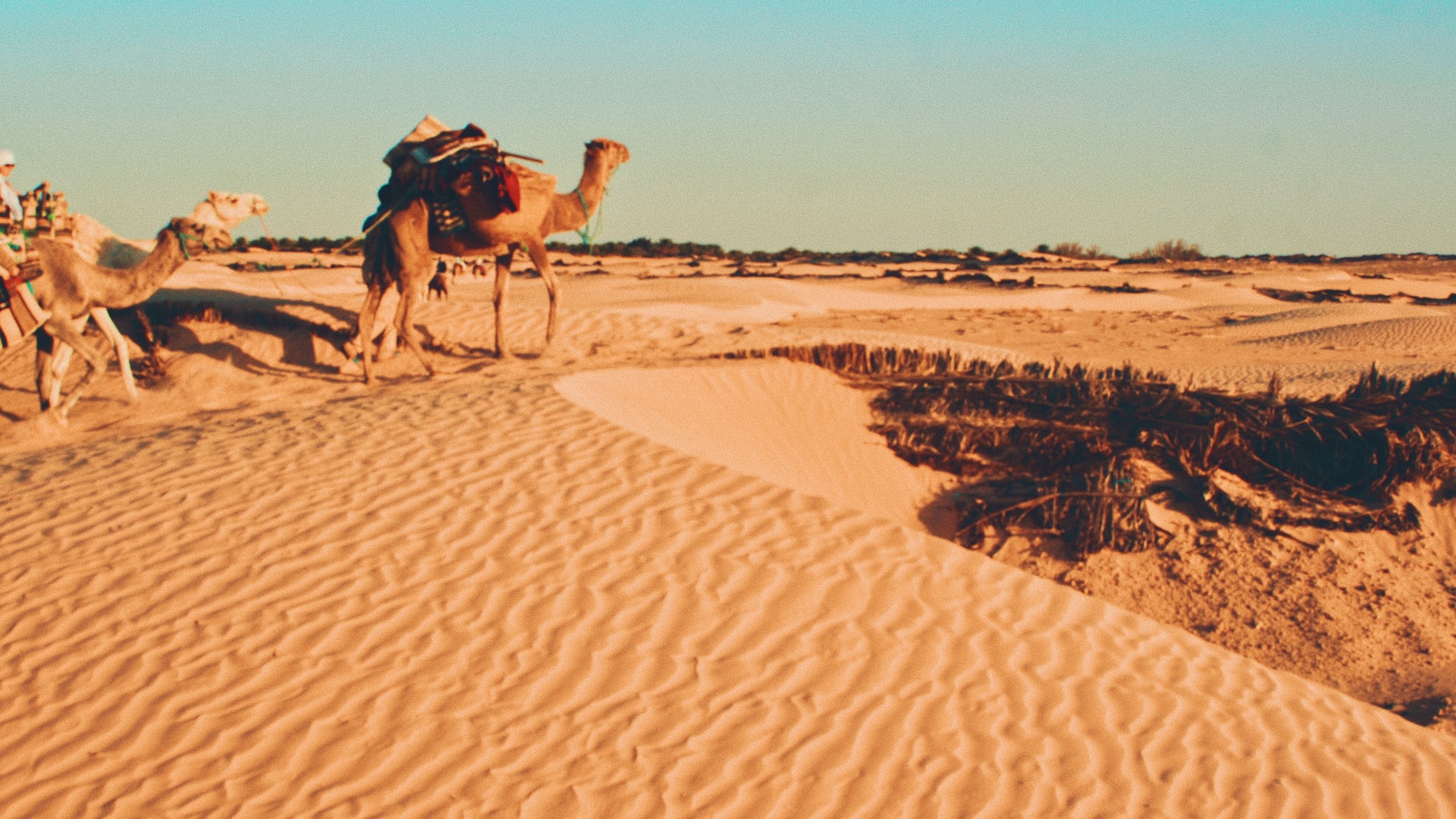 List of countries with an arid climate | movecrunch.com